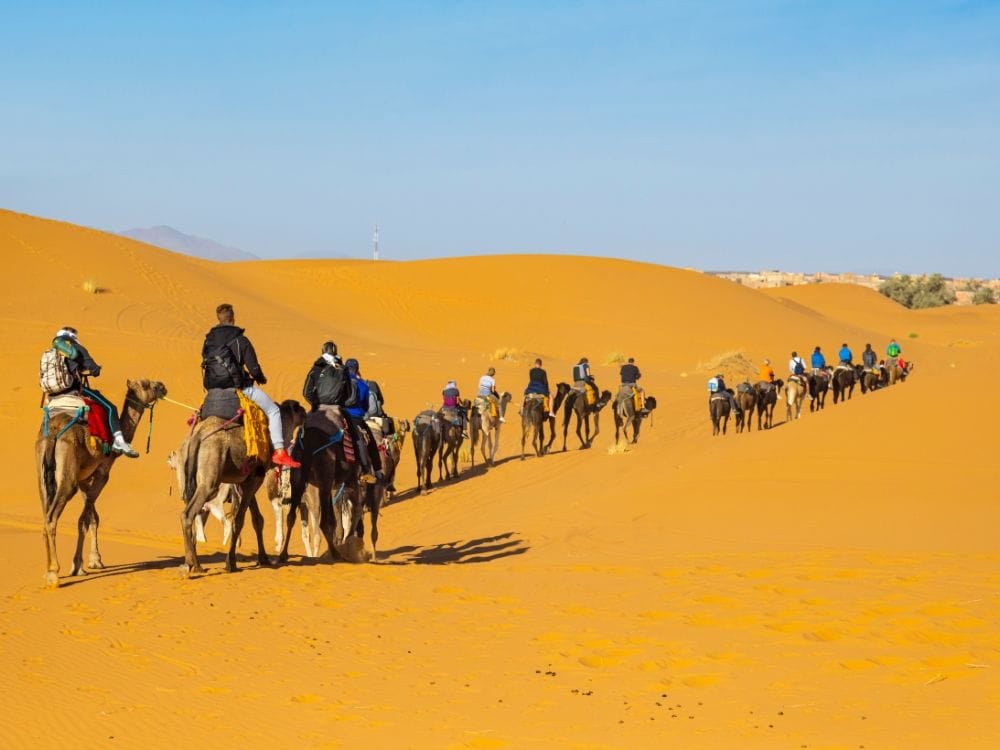 Overnight Camel Trek In Merzouga Awaits 2025